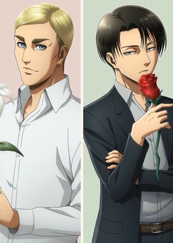 Erwin and Levi go to Taylor Swift concert Fan Casting on myCast