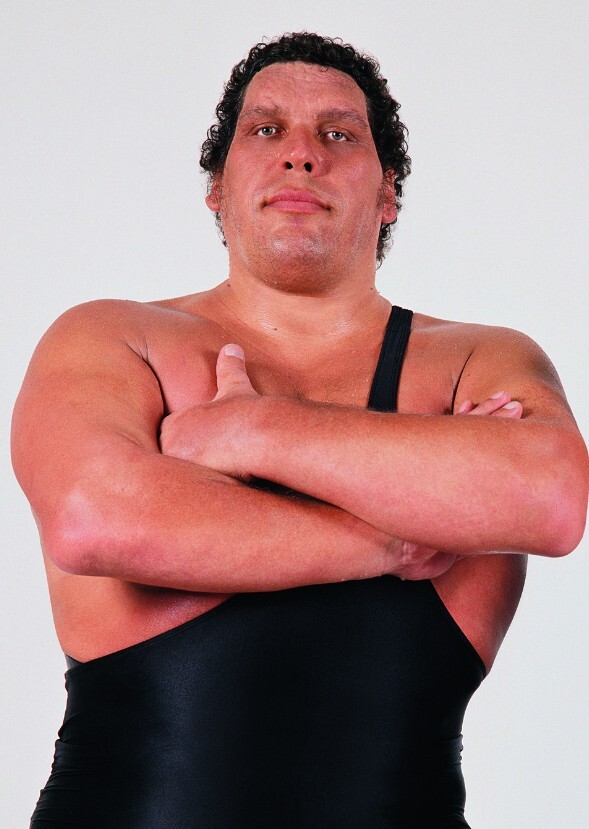 Evolution of Andre The Giant Fan Casting on myCast