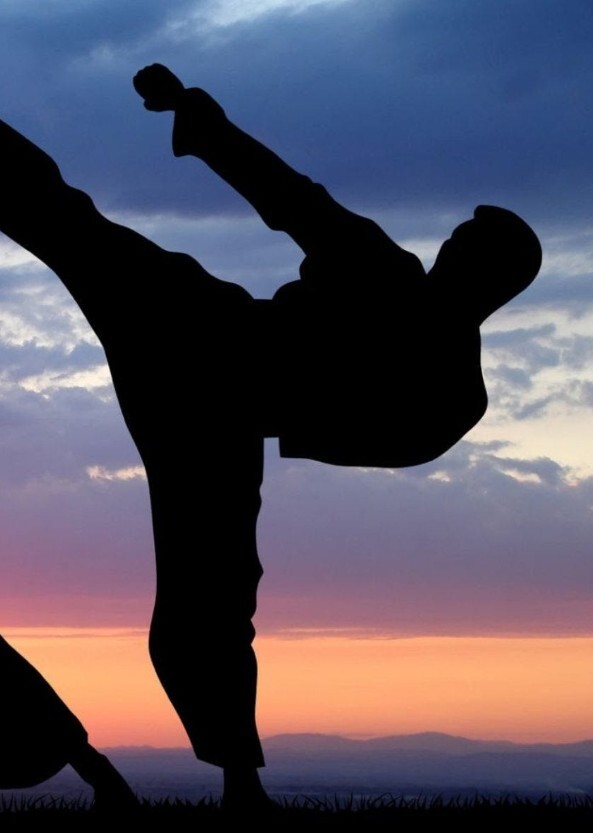 Wrestling Fan Casting for Face Claims Sorted by Martial Arts | myCast - Fan Casting Your ...