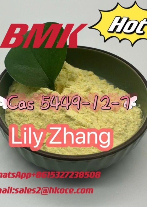 Factory Price BMK Glycidic Acid (sodium salt) CAS 5449-12-7 door-to-door Fan Casting on myCast