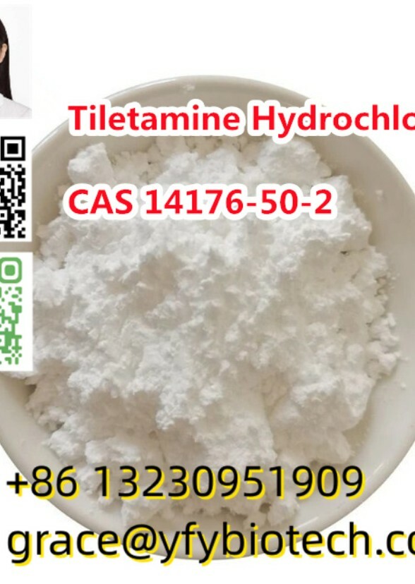 Factory supply Tiletamine Hydrochloride cas 14176-50-2 Fan Casting on ...