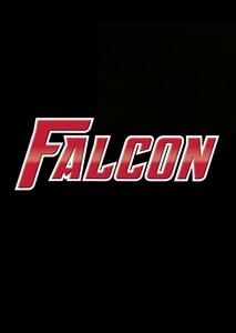 Brandon Stanley Fan Casting