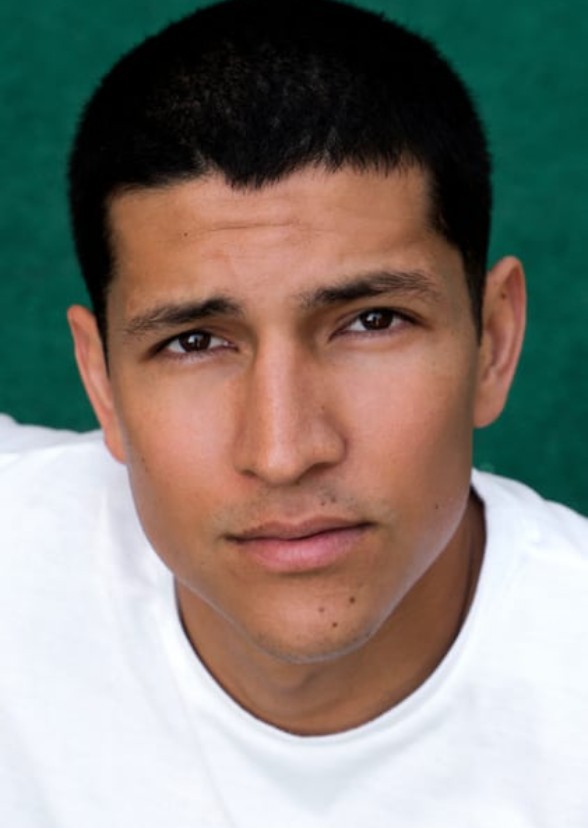 Falcon TV Series (Season One) Fan Casting on myCast