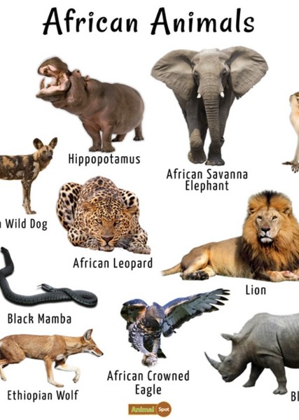 Fictional Characters as African animals Fan Casting on myCast