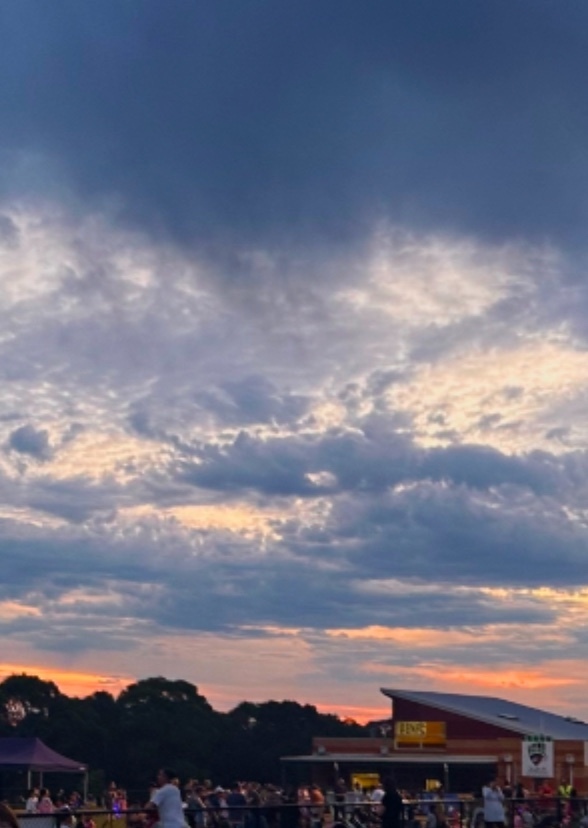 Fan Casting Bert (Cobra Kai) as Cobra Kai in Fictional Characters on myCast