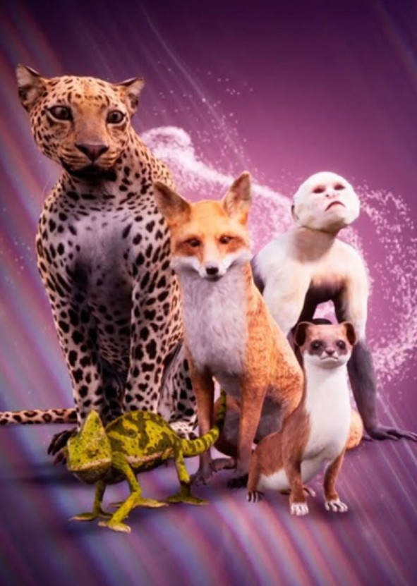 Fan Casting Gofrette as Black Cat (Generic) in Fictional Characters ...