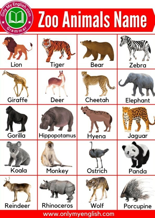 Fictional characters voicing Zoo Animals Fan Casting on myCast