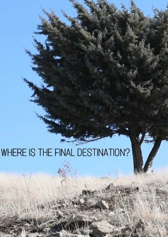 Find an Actor to Play Ben Hughes in Final Destination 7 Winter Holiday ...