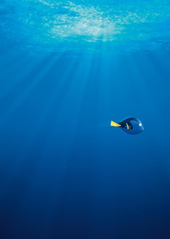 Finding Dory Fan Casting On Mycast