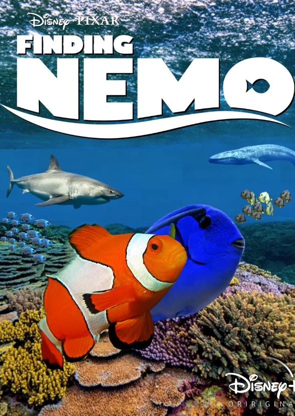 Squirt Fan Casting for Finding Nemo (2023) | myCast - Fan Casting Your Favorite Stories