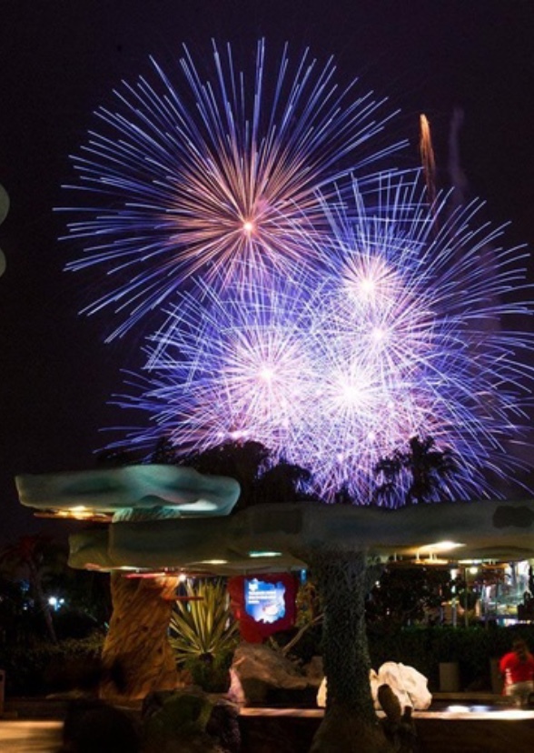 Firework Fun and Games Fan Casting on myCast