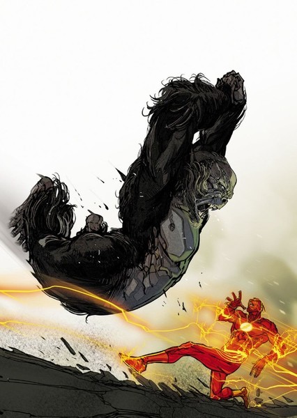 Flash: Revolution Fan Casting on myCast