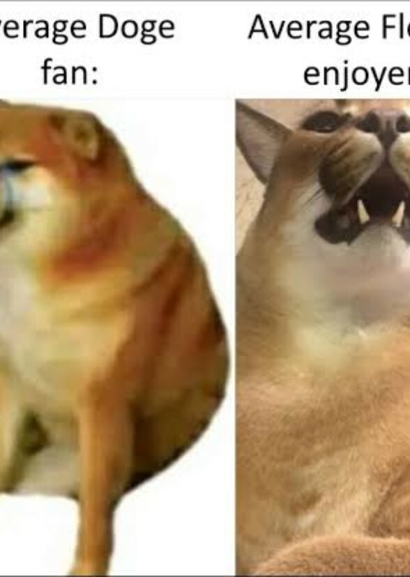 Floppa vs Doge: Horizons of Liberty Fan Casting on myCast