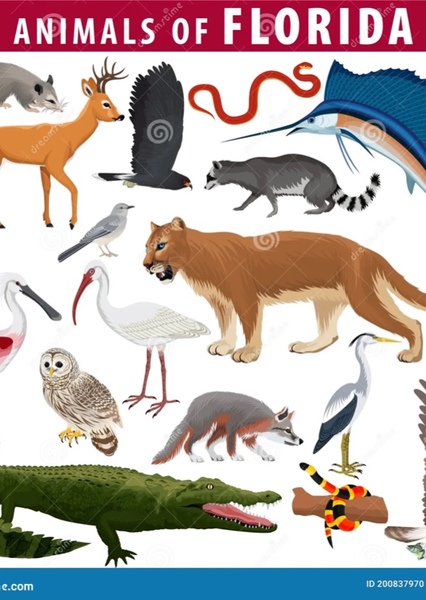 1970s Fan Casting for Which Actresses Could've Played Gale Weathers in ...