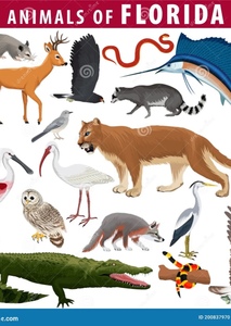 1950s Fan Casting for Which Actresses Could've Played Gale Weathers in ...