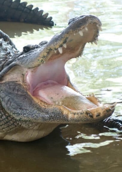 Ivor Barry on myCast - Fan Casting Your Favorite Stories