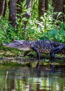 Fight Club (1988) Fan Casting on myCast