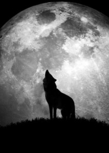 Elvis Presley: The Series Fan Casting on myCast