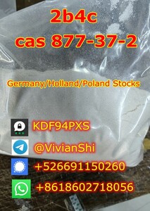 BSK Crew & The Kliq Fan Casting on myCast