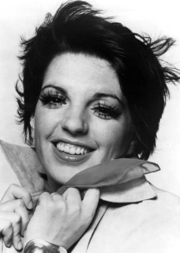 Glitter & Grace: The Liza Minnelli Story Fan Casting on myCast