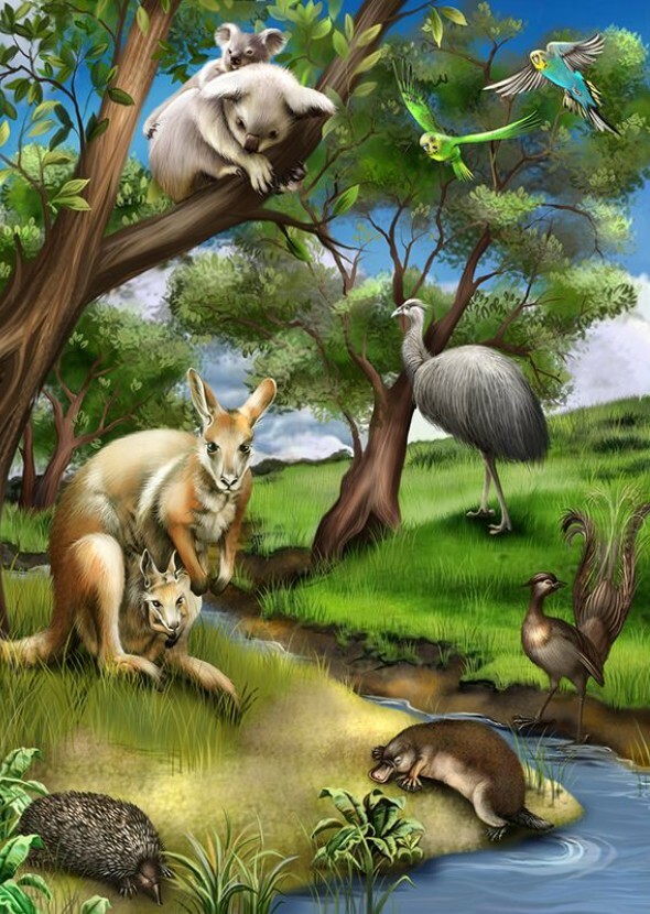 Harmony in Nature: Exploring the Beauty of Ecosystems Fan Casting on myCast