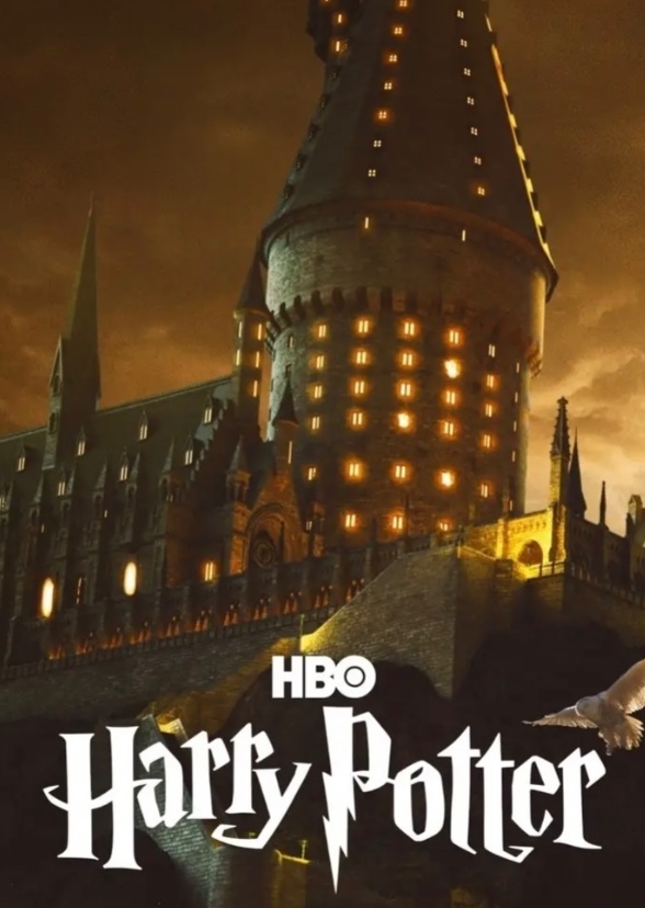 Harry Potter (HBO Original Series) Fan Casting on myCast