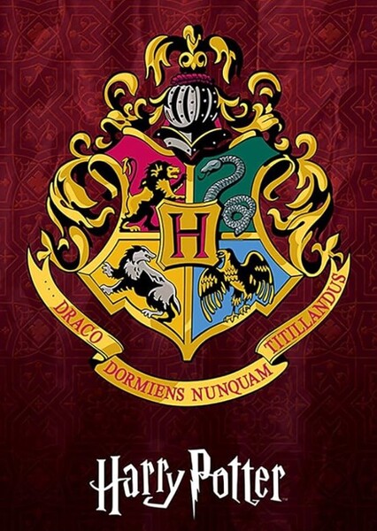 Harry Potter Fan Casting on myCast