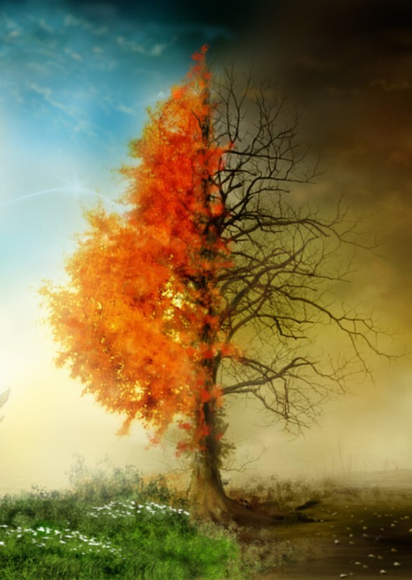 Heaven Fan Casting for Heaven and Hell | myCast - Fan Casting Your ...