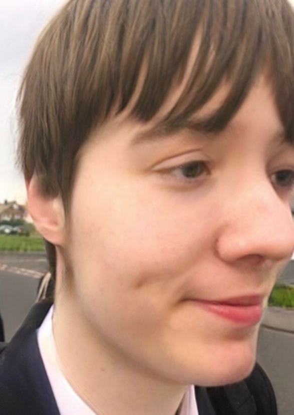 Henry And Ewan Fan Casting on myCast