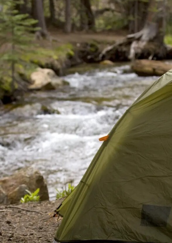 Find an Actor to Play Molly Bell in Hilltop on myCast