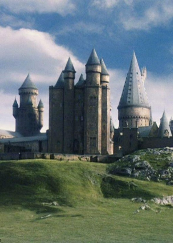 Harry "Hook" Paul Fan Casting for Hogwarts Mystery: The Stories of Levi Levine | myCast - Fan ...