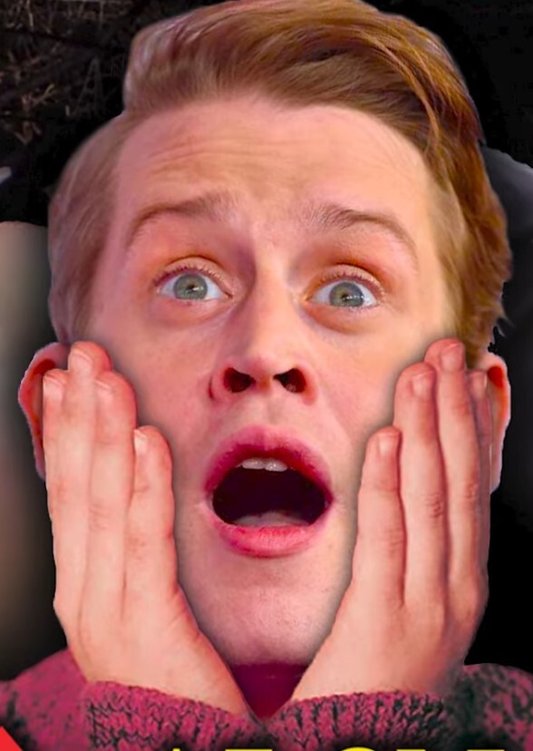 Fan Casting Joe Pesci as Harry and Marv in Home Alone Again, Naturally on myCast