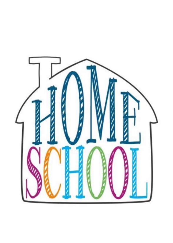 Homeschool Sitcom Fan Casting on myCast