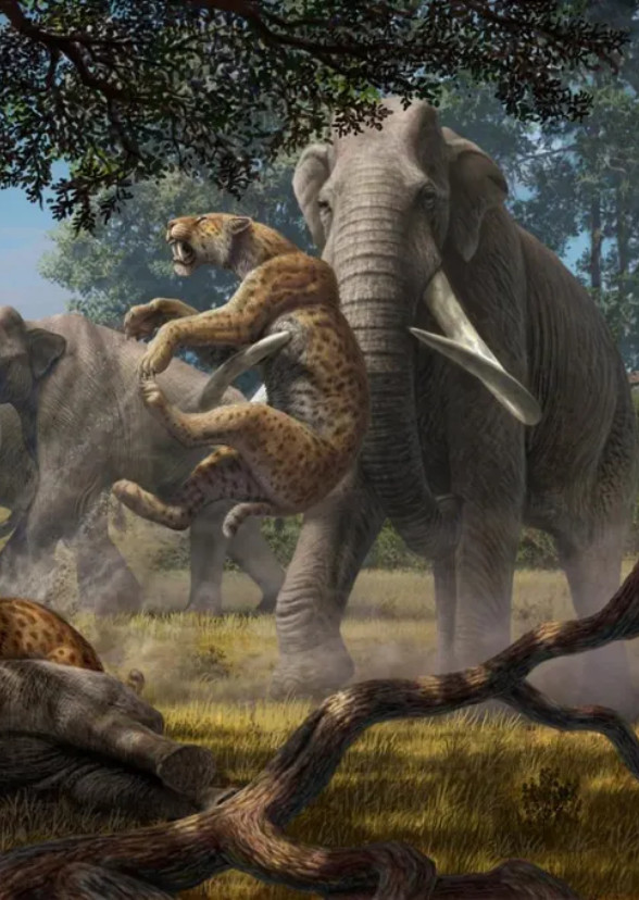 Ice Age Teeth Fan Casting on myCast