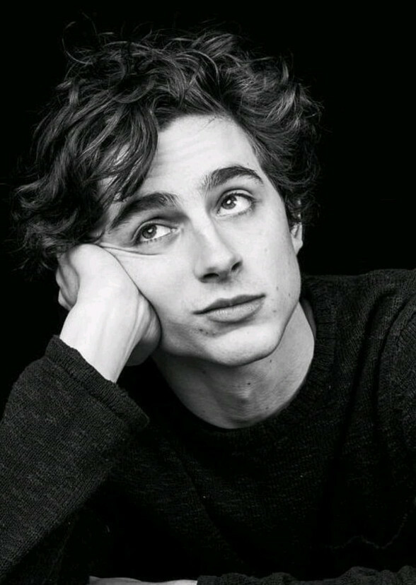 Into the Chalametverse Fan Casting on myCast