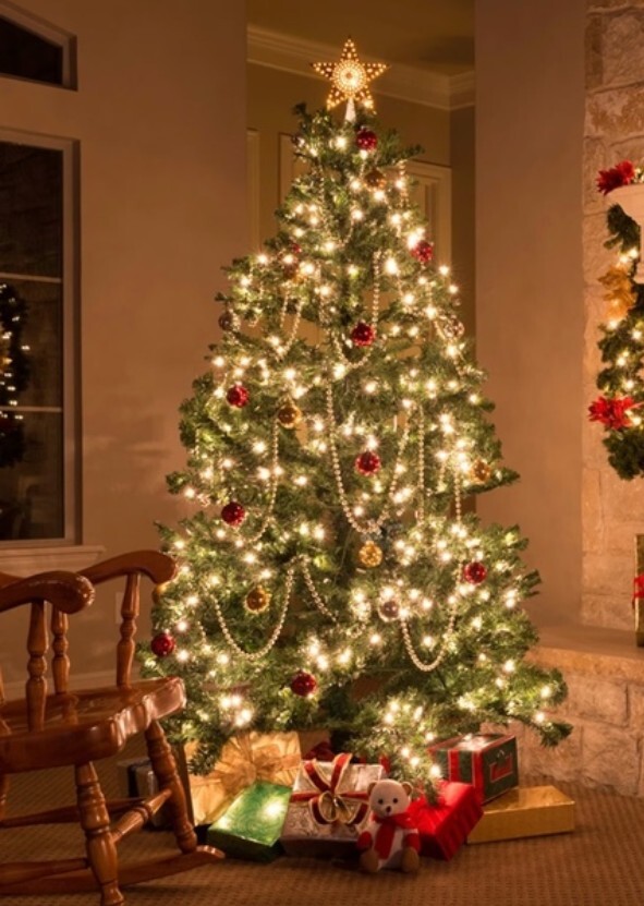 Chloë Grace Moretz Fan Casting for Jacob Coronado & RobertCooper's ...