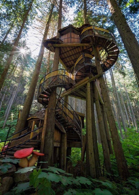 Jacob's Treehouse Adventure Fan Casting on myCast