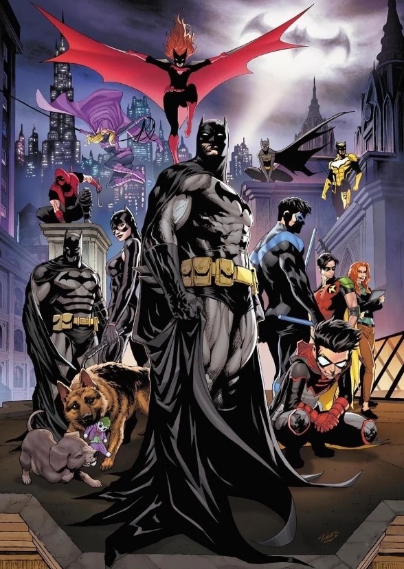 James Gunn’s Batfamily Fan Casting on myCast