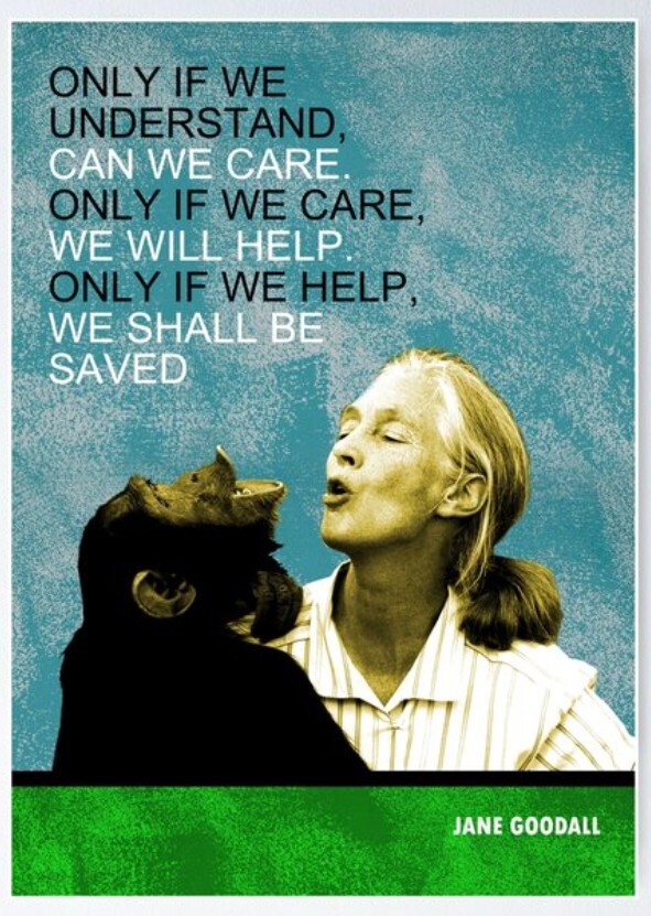 Jane Fan Casting on myCast