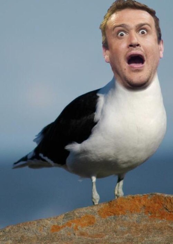 Jason Segel: The Movie Fan Casting on myCast