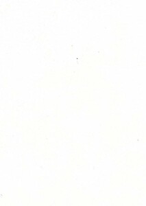 Team Meetings and Dinner Fan Casting on myCast