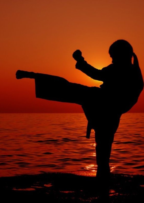 Fan Casting Alicia Vikander as Eastern European Champ in Karate Island on myCast