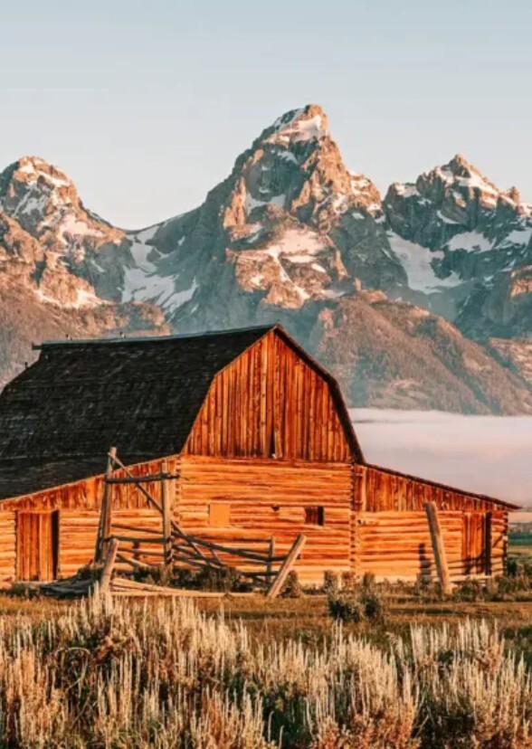 LAND OF WOLVES (2027) Fan Casting on myCast