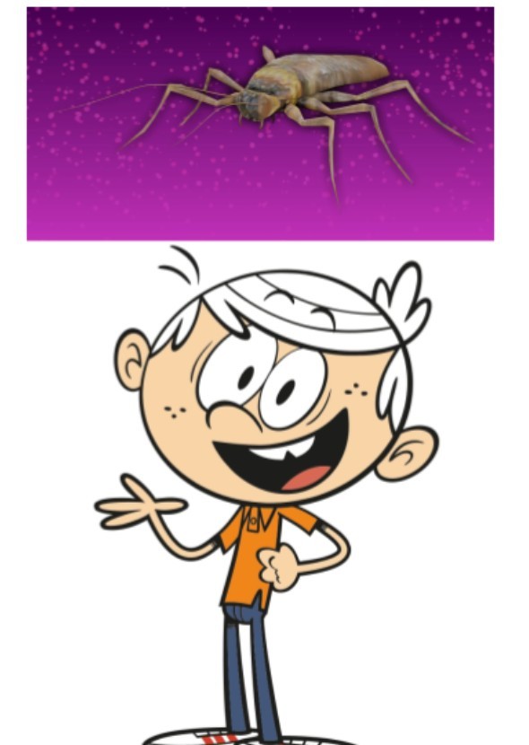 Lincoln Loud vs A Cockroach Fan Casting on myCast