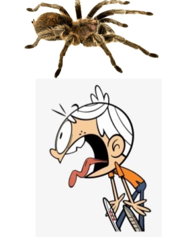 Albert Reynolds Fan Casting for Lincoln Loud VS. A Spider | myCast ...