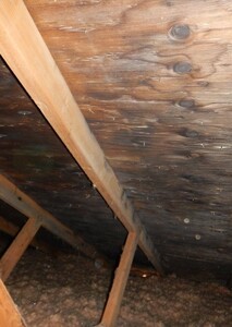 Adventures Of RadioactiveSharks Fan Casting on myCast