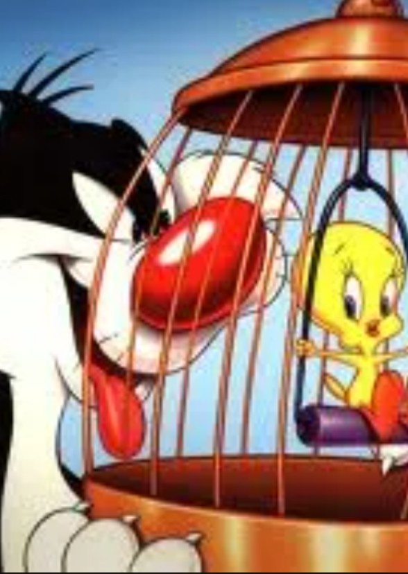 Looney Tunes: Sylvester & Tweety All Stars! Fan Casting on myCast