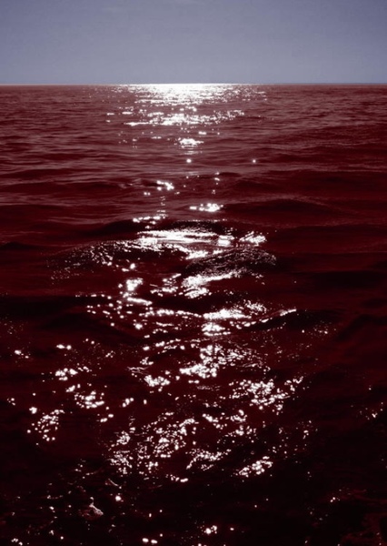 Seeman on myCast - Fan Casting Your Favorite Stories