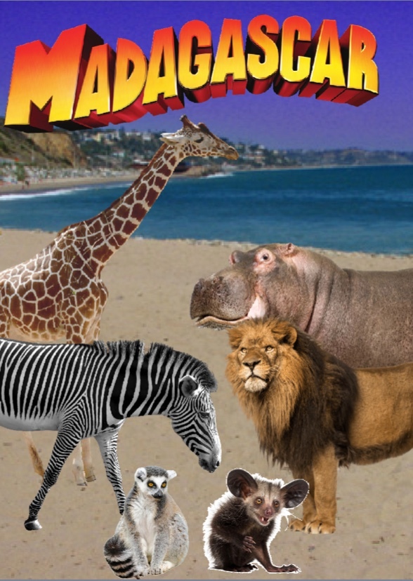 Madagascar Fan Casting on myCast