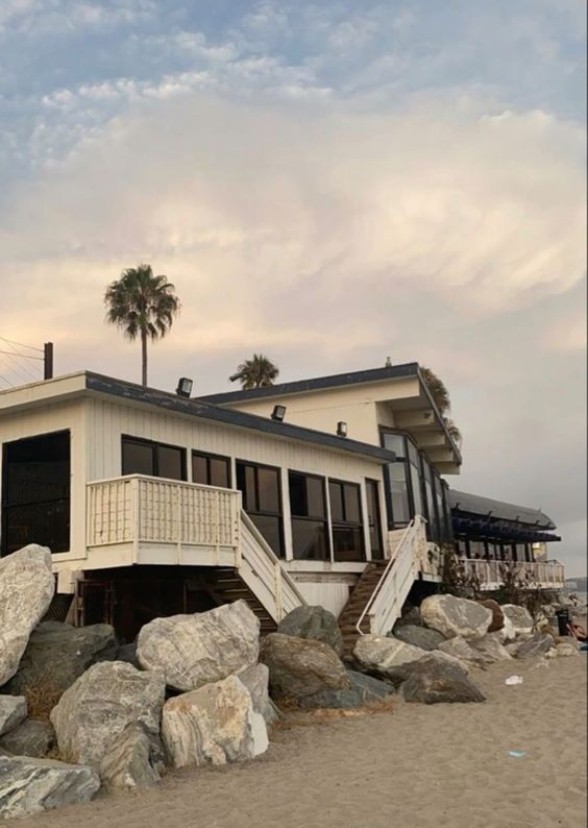 Fan Casting Camila Morrone as Vanessa de la Cruz in Malibu Rising on myCast